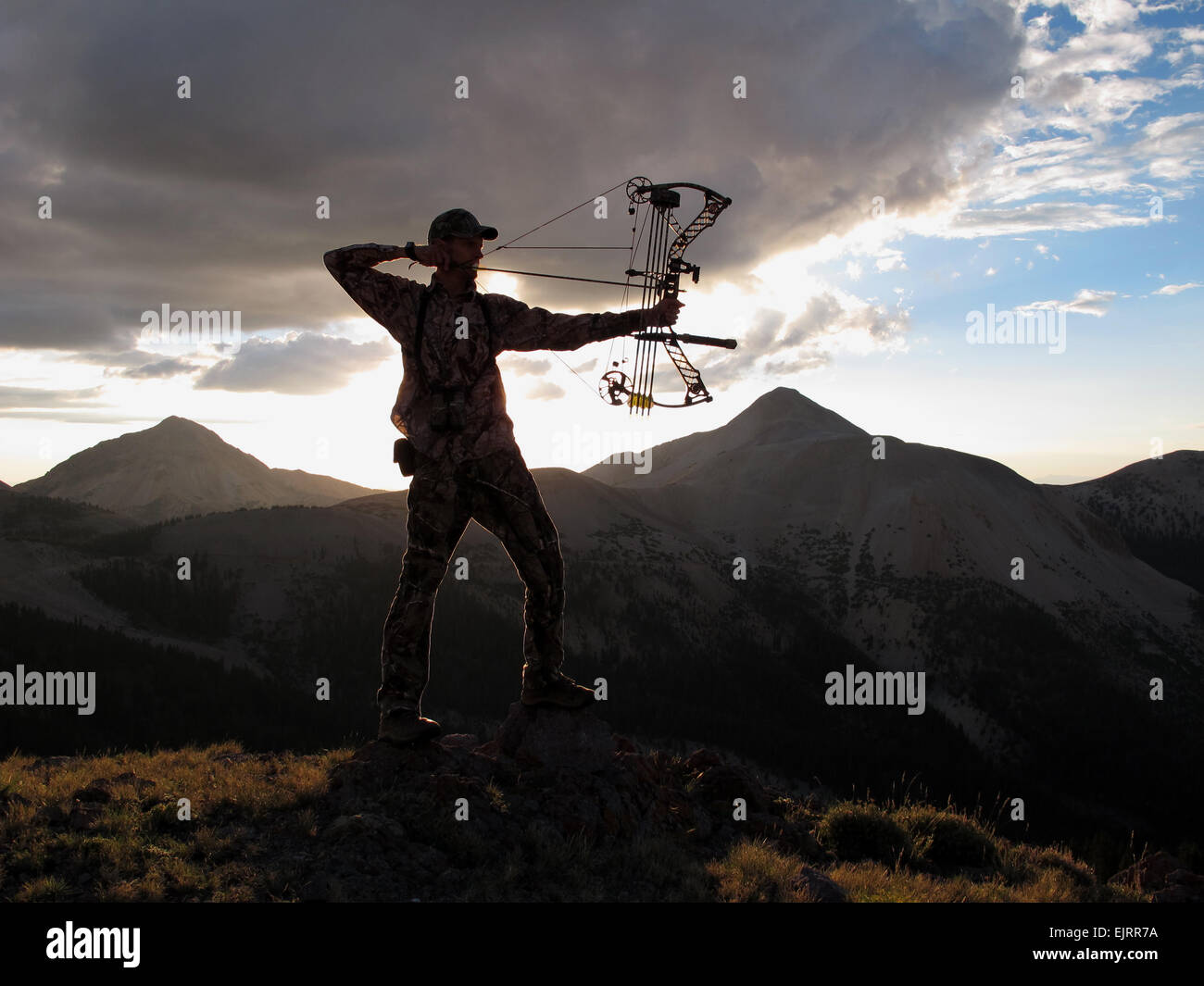 Bowhunter Silhouette