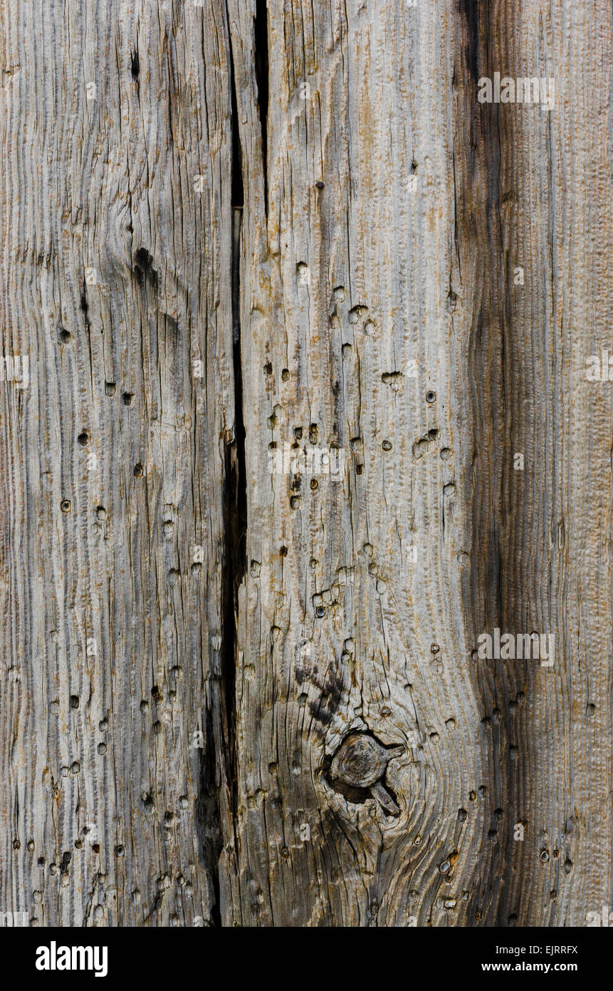 Knotty weathered wooden plank close up detail Stock Photo - Alamy