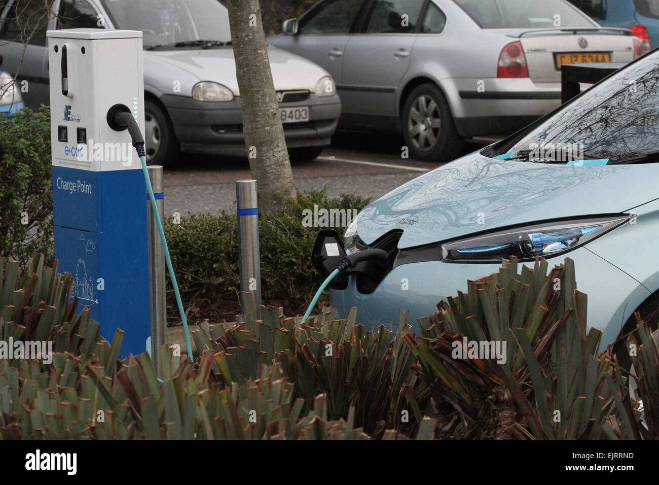 Electric car being charged at charge point Stock Photo - Alamy