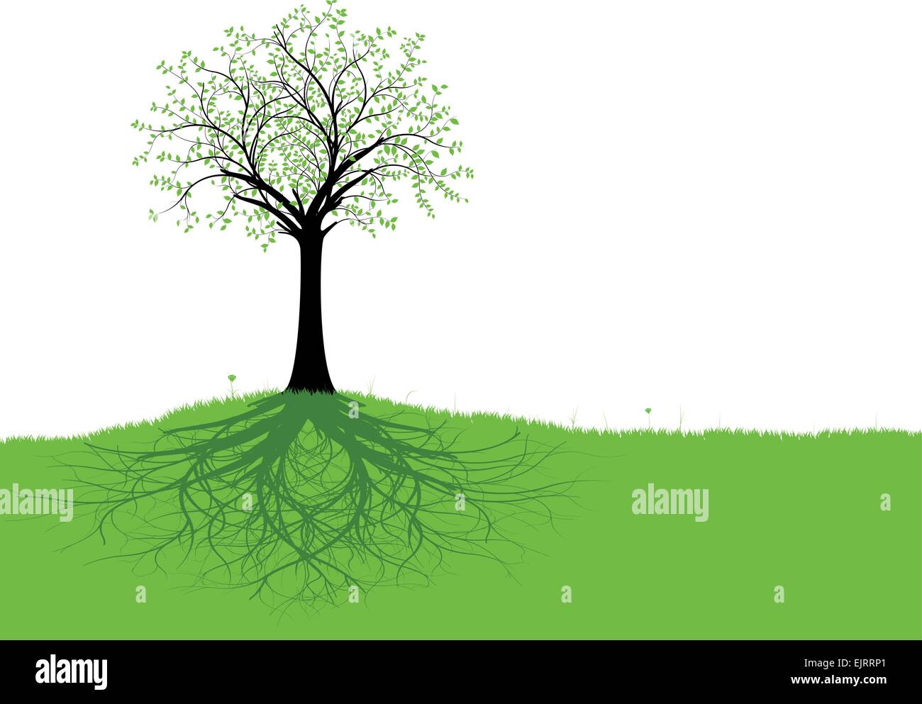 Tree root illustration hi-res stock photography and images - Alamy