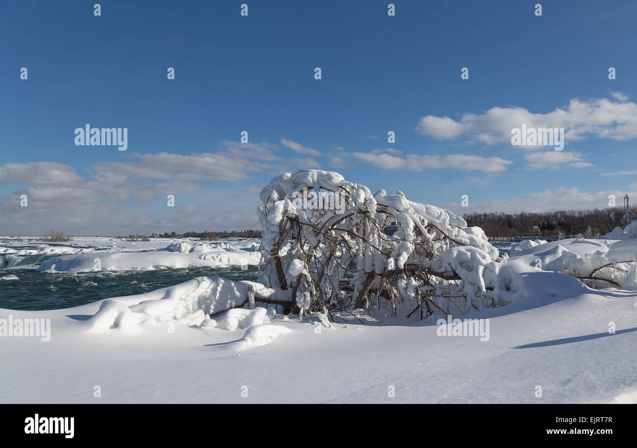 Ice frozen tree hi-res stock photography and images - Alamy