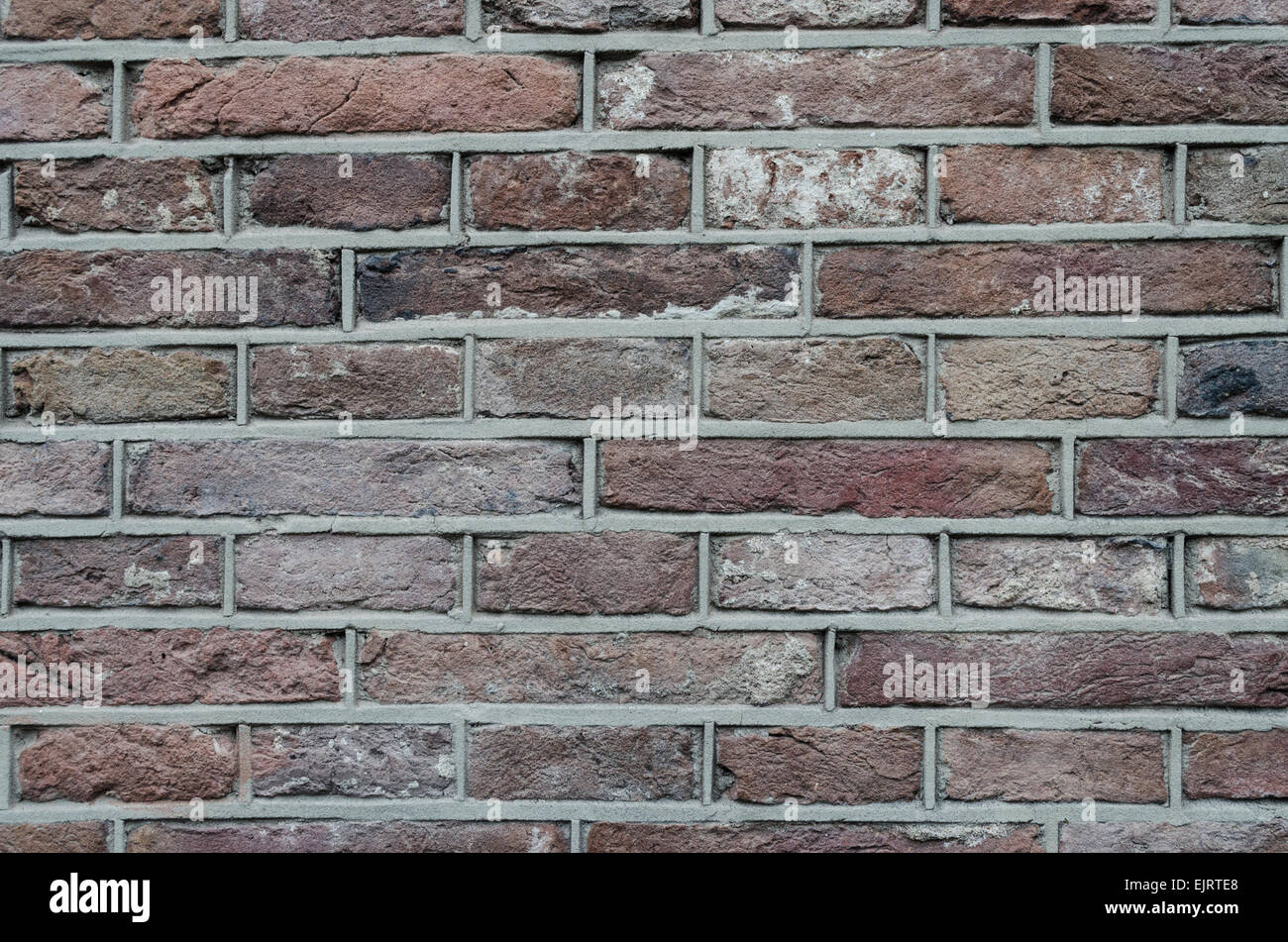 Flemish brick pattern hi-res stock photography and images - Alamy