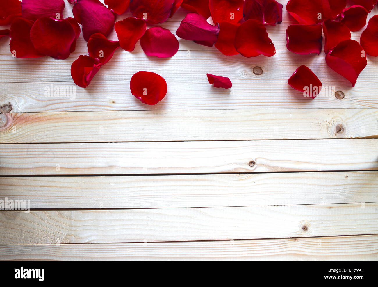 Rose Petals Border Stock Photo - Alamy