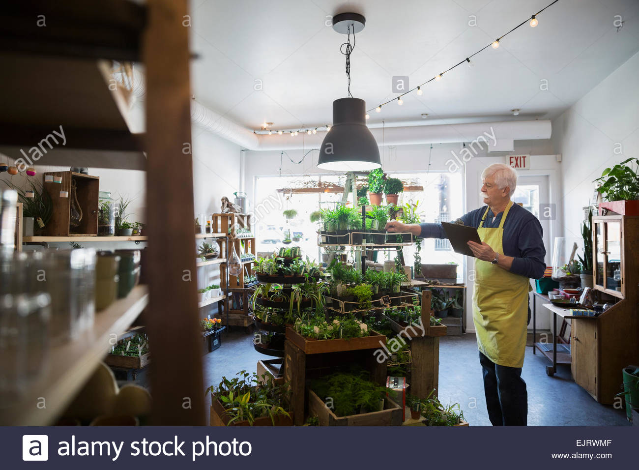 Terrarium display hi-res stock photography and images - Alamy