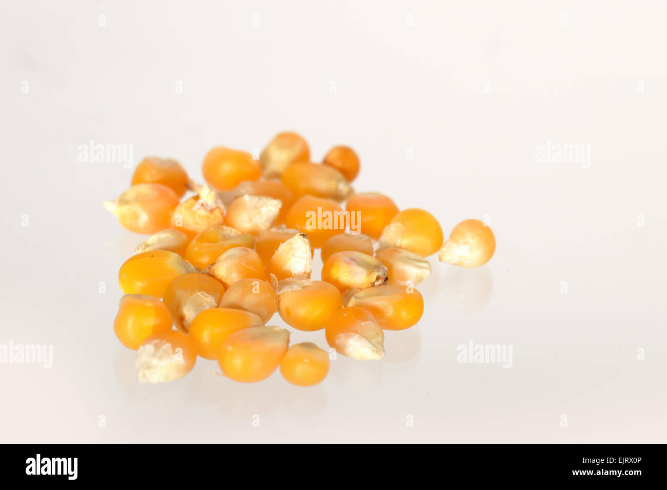 Dried corn used for making popcorn Stock Photo - Alamy
