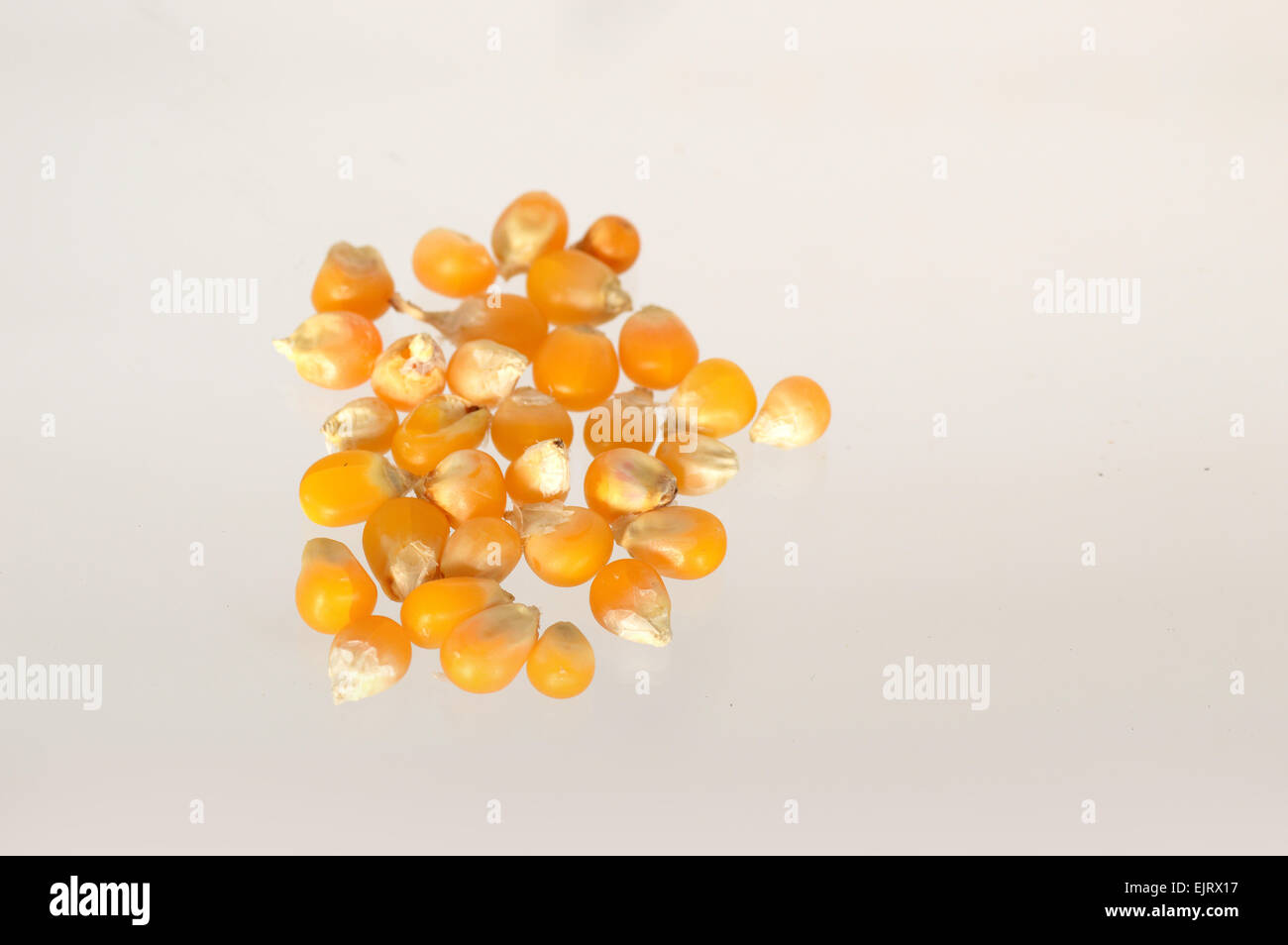 Dried corn used for making popcorn Stock Photo - Alamy