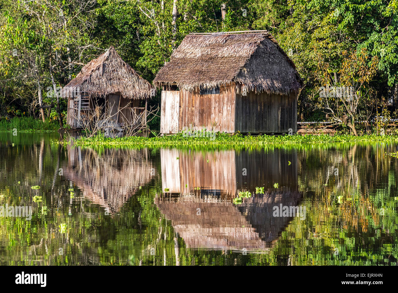 Two shacks reflected in the Amazon rainforest near Iquitos, Peru Stock ...