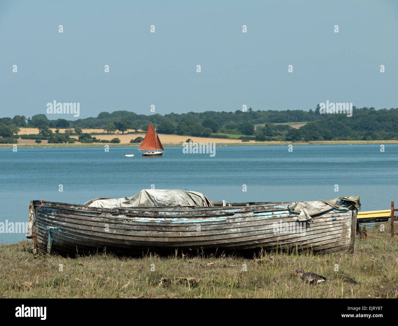 Stour estuary mistley essex hi-res stock photography and images - Alamy