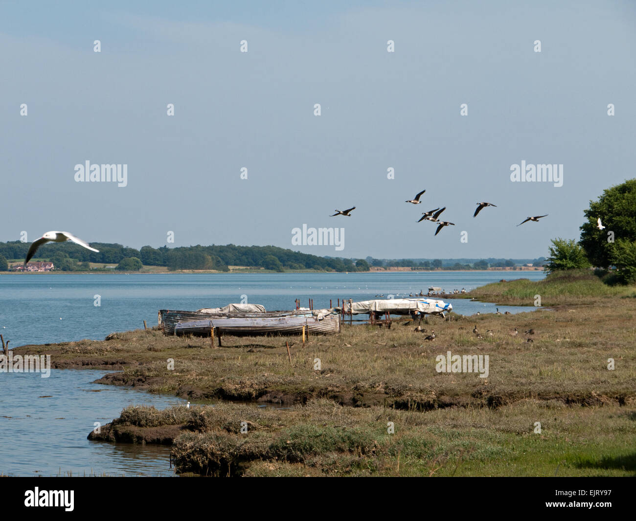 Stour estuary mistley essex hi-res stock photography and images - Alamy