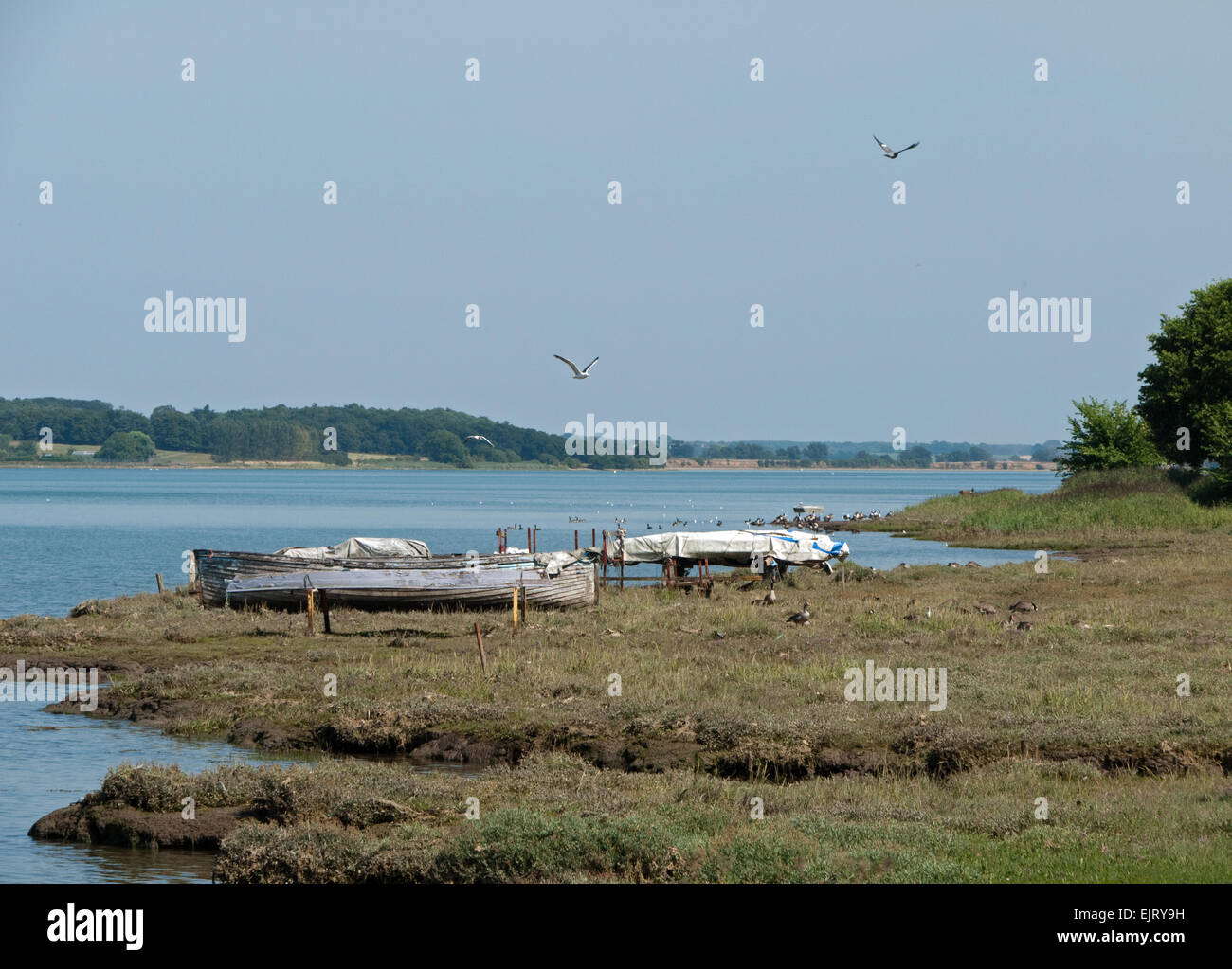 Manningtree hi-res stock photography and images - Alamy