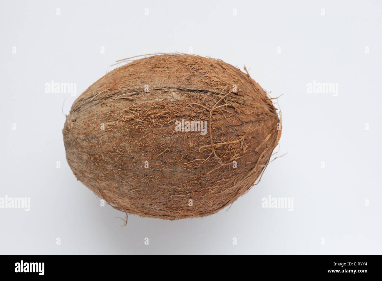 Ripe big coconut on white background Stock Photo - Alamy