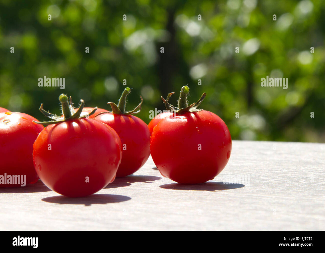 Tomatos fresh vegetable red hi-res stock photography and images - Alamy