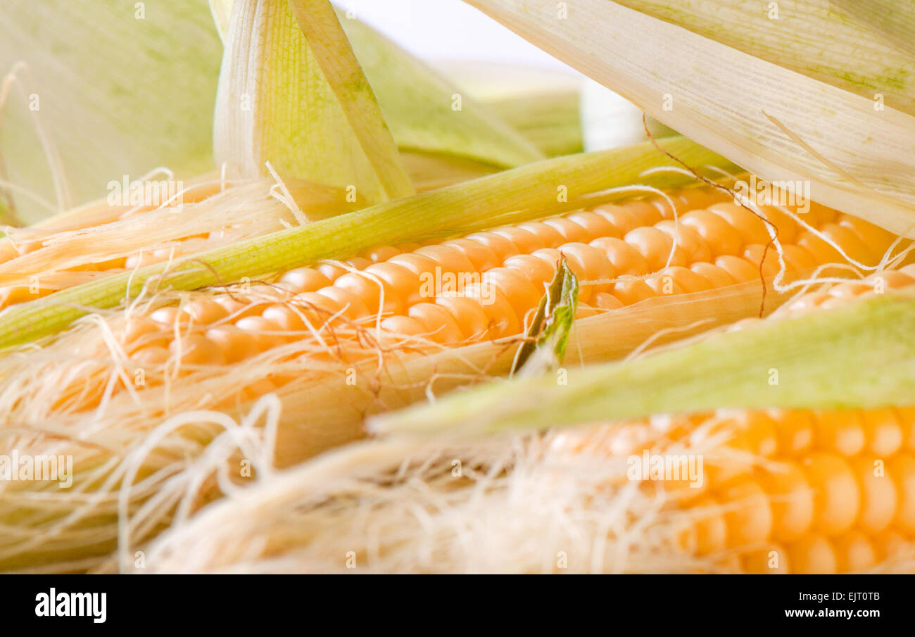 Grains of ripe corn Stock Photo - Alamy