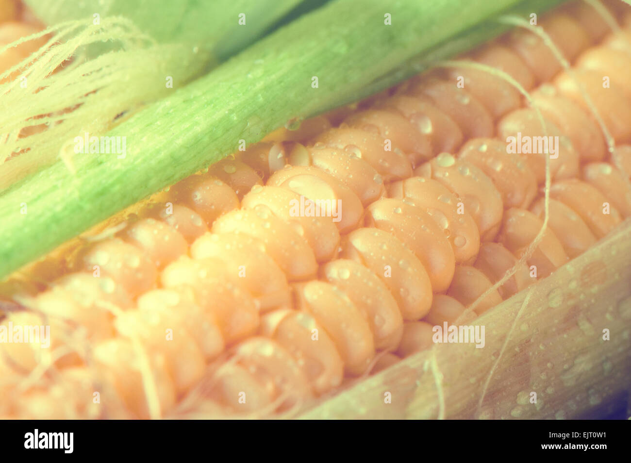 Between the grains hi-res stock photography and images - Alamy