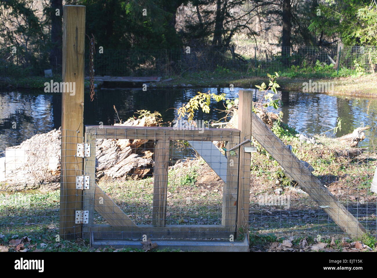 Wood ponds hi-res stock photography and images - Alamy