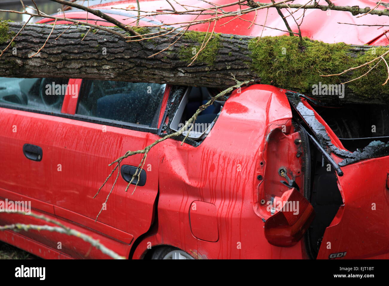 Accident Car Crashed Tree High Resolution Stock Photography and Images ...