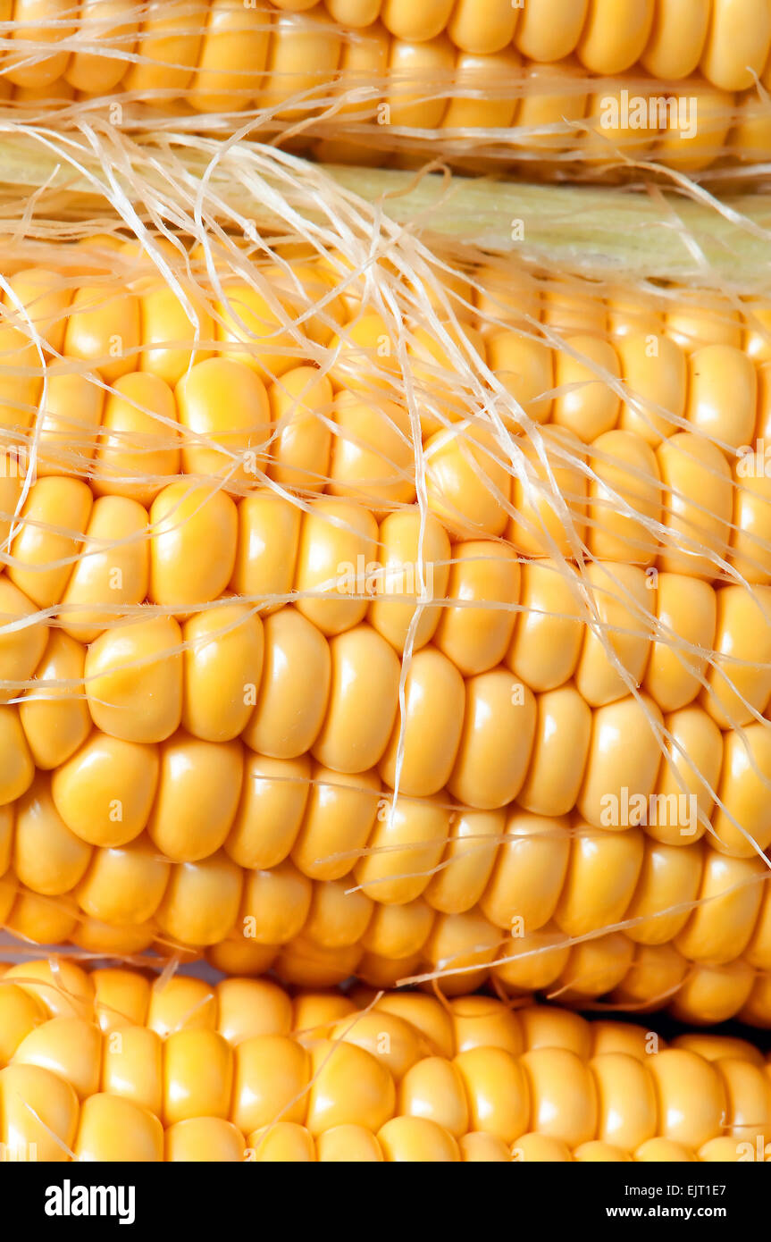 Grains of ripe corn closeup Stock Photo - Alamy