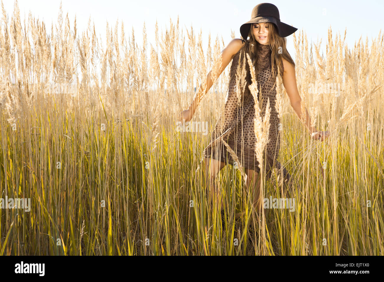 Beautiful lady model wandering through meadow wilds at midday Stock ...