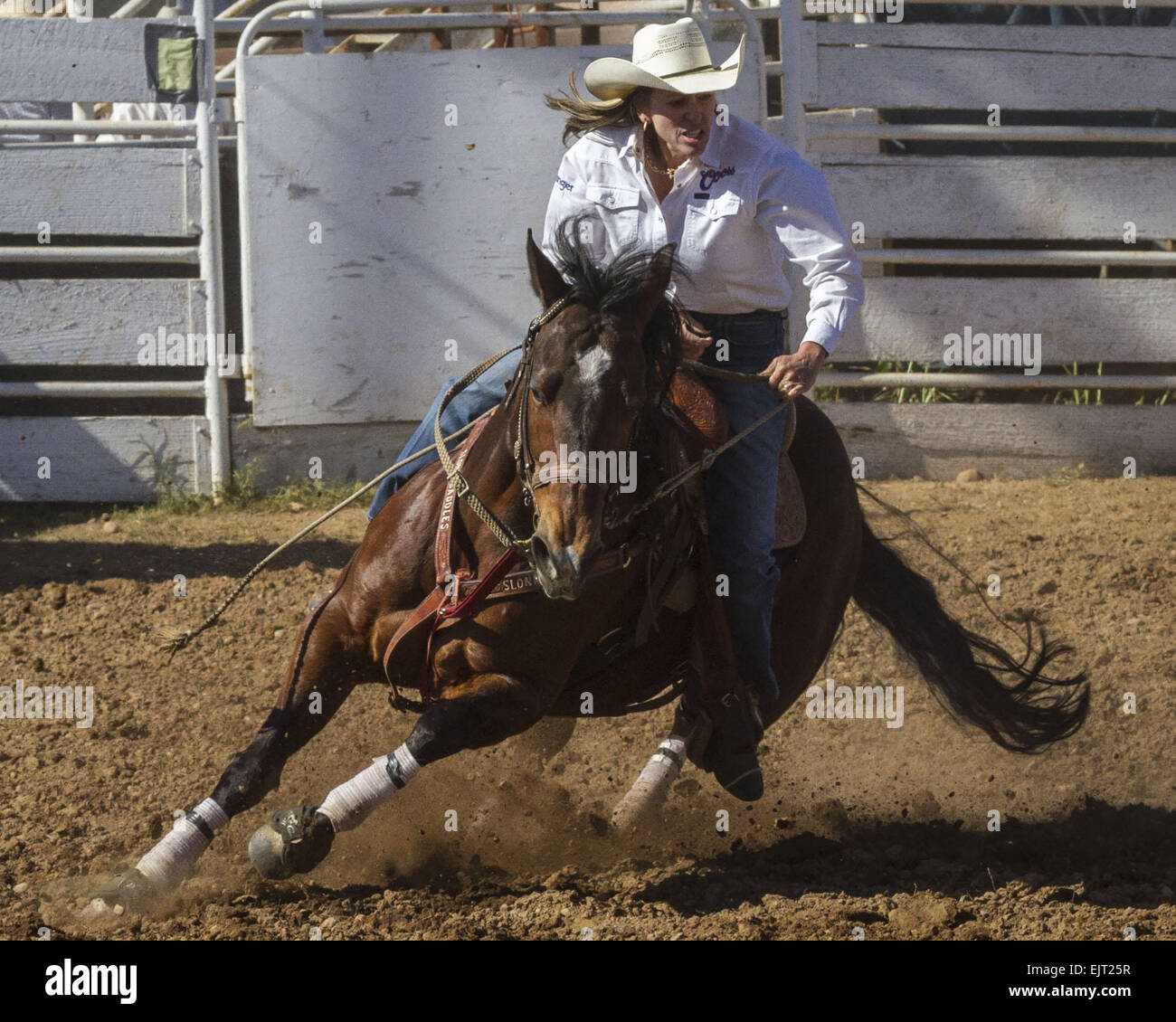 Tracy leslie hi-res stock photography and images - Alamy