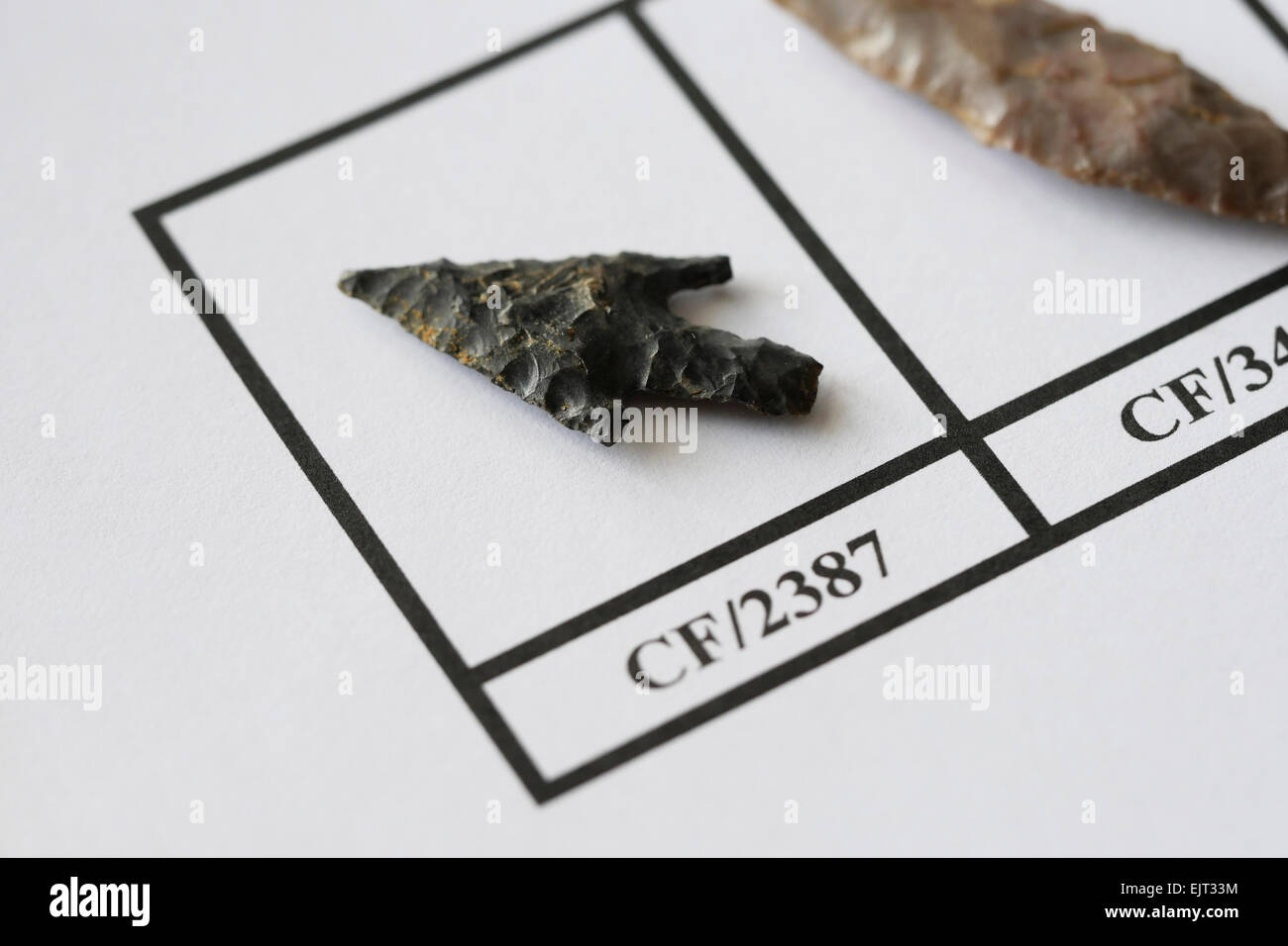 Flint knapping hi-res stock photography and images - Alamy