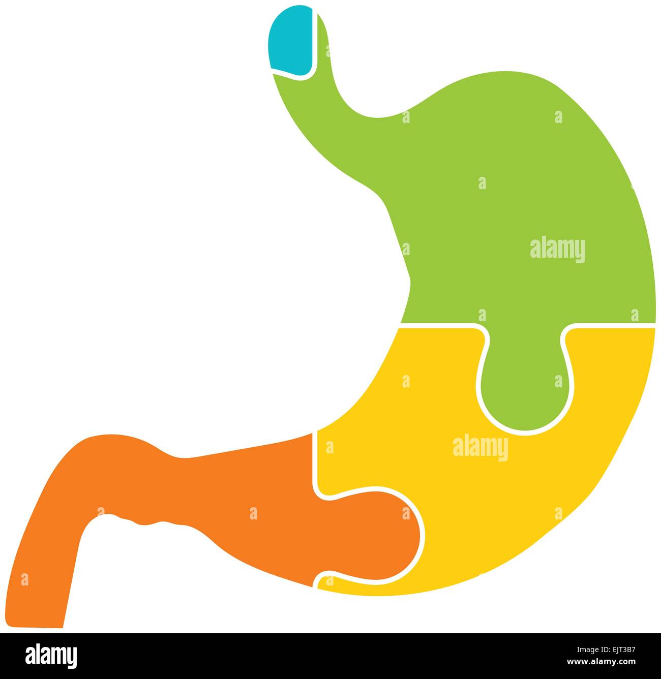 Stomach Jigsaw Puzzle Pieces Abstract Stock Vector Image & Art - Alamy
