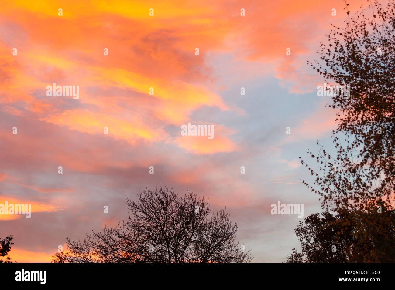 Sunset sky over Surrey Stock Photo - Alamy