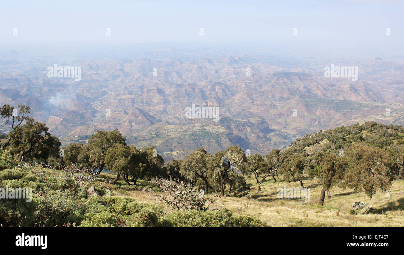 Panorama of the landscape of Semien Mountains National Park, Ethiopia ...
