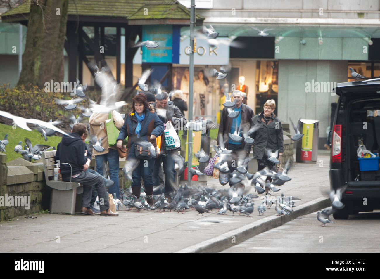 Nuisance birds: Shoppers surrounded by flocks of pigeons and seagulls ...
