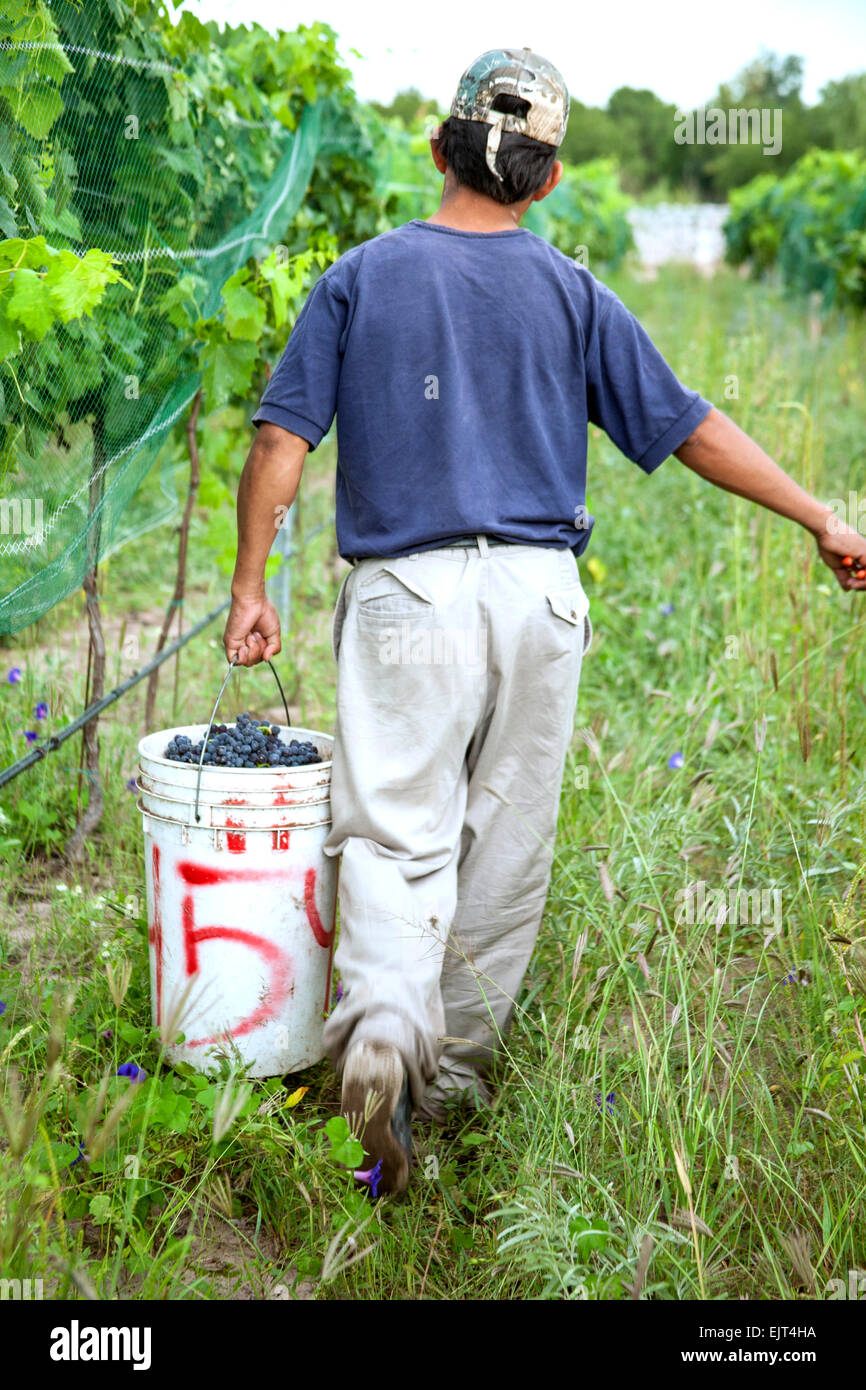Carrying bucket hi-res stock photography and images - Alamy