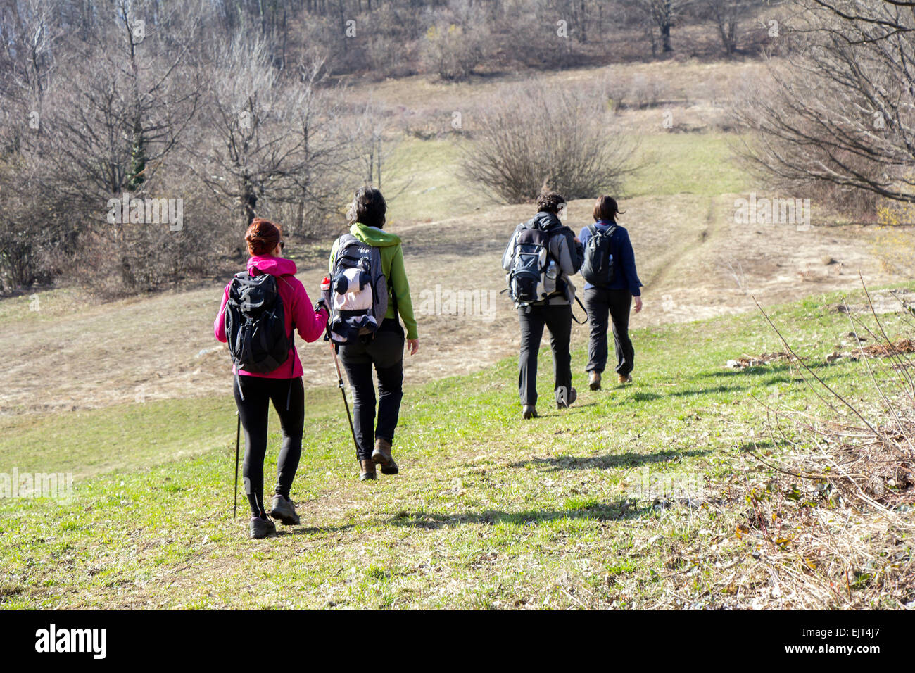 Hikers walking with backpacks in forest Stock Photo - Alamy