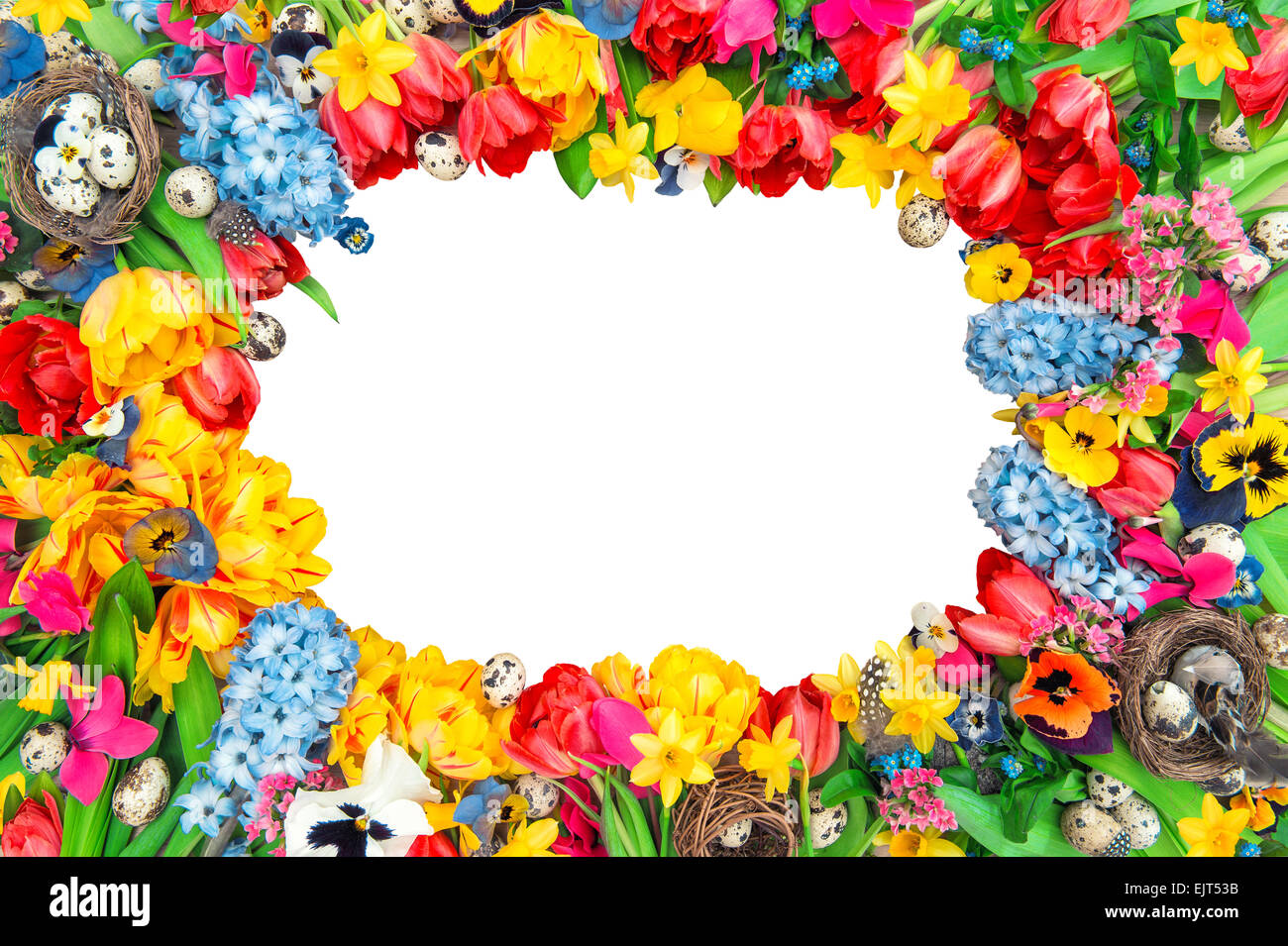 Spring Flowers Images Borders