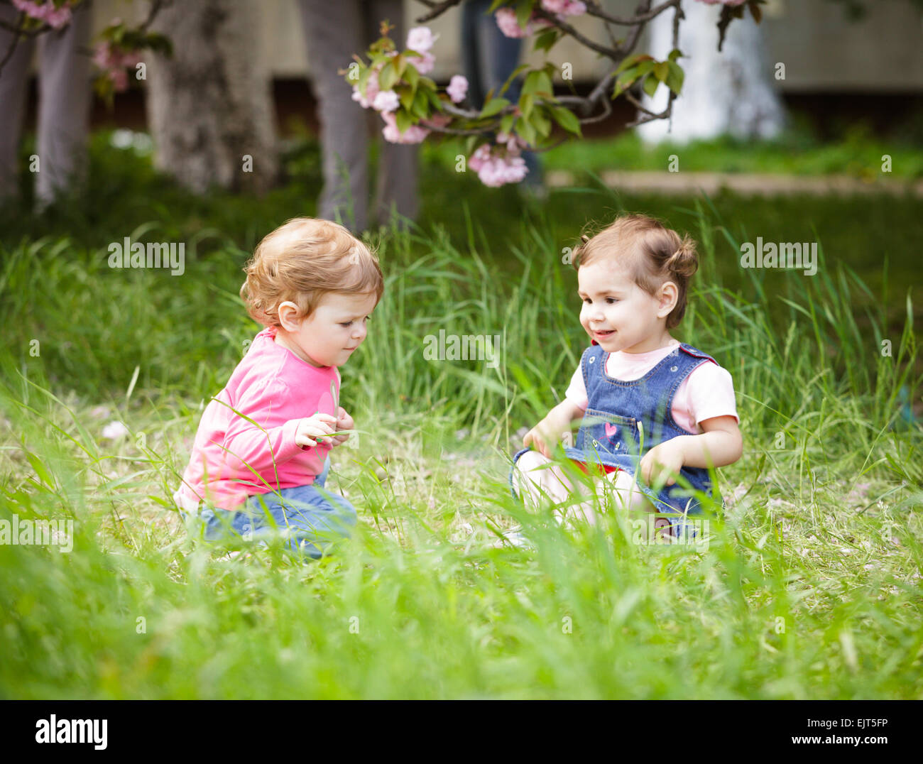 Two girls play in the garden, sitting on the grass Stock Photo - Alamy
