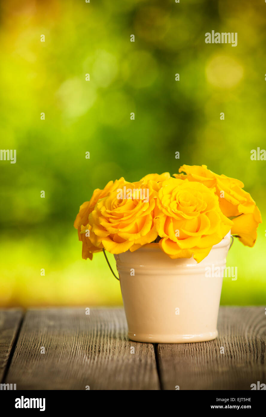 roses in the bucket Stock Photo - Alamy