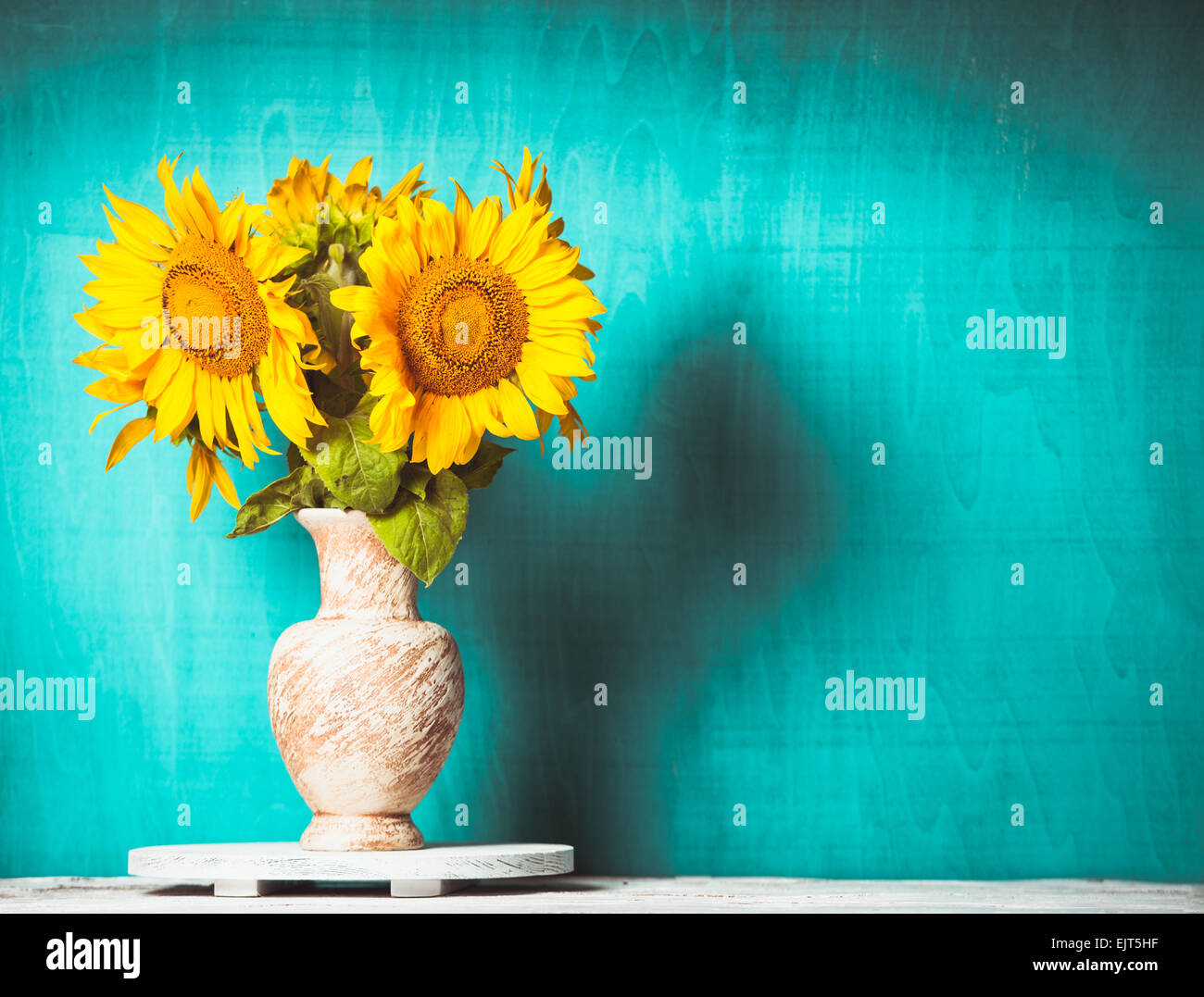 Sunflower still life Stock Photo - Alamy