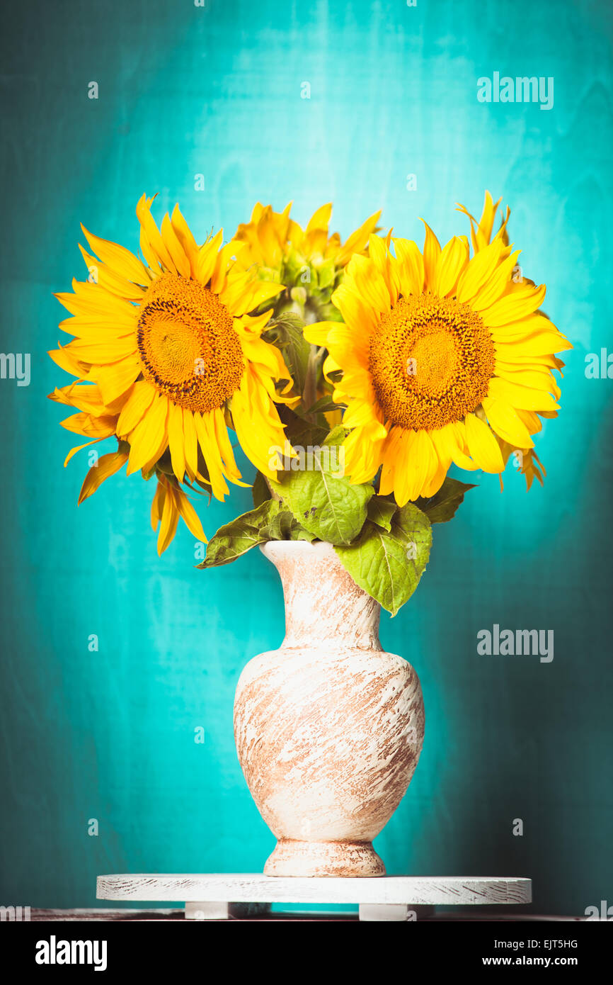 Sunflower still life Stock Photo - Alamy