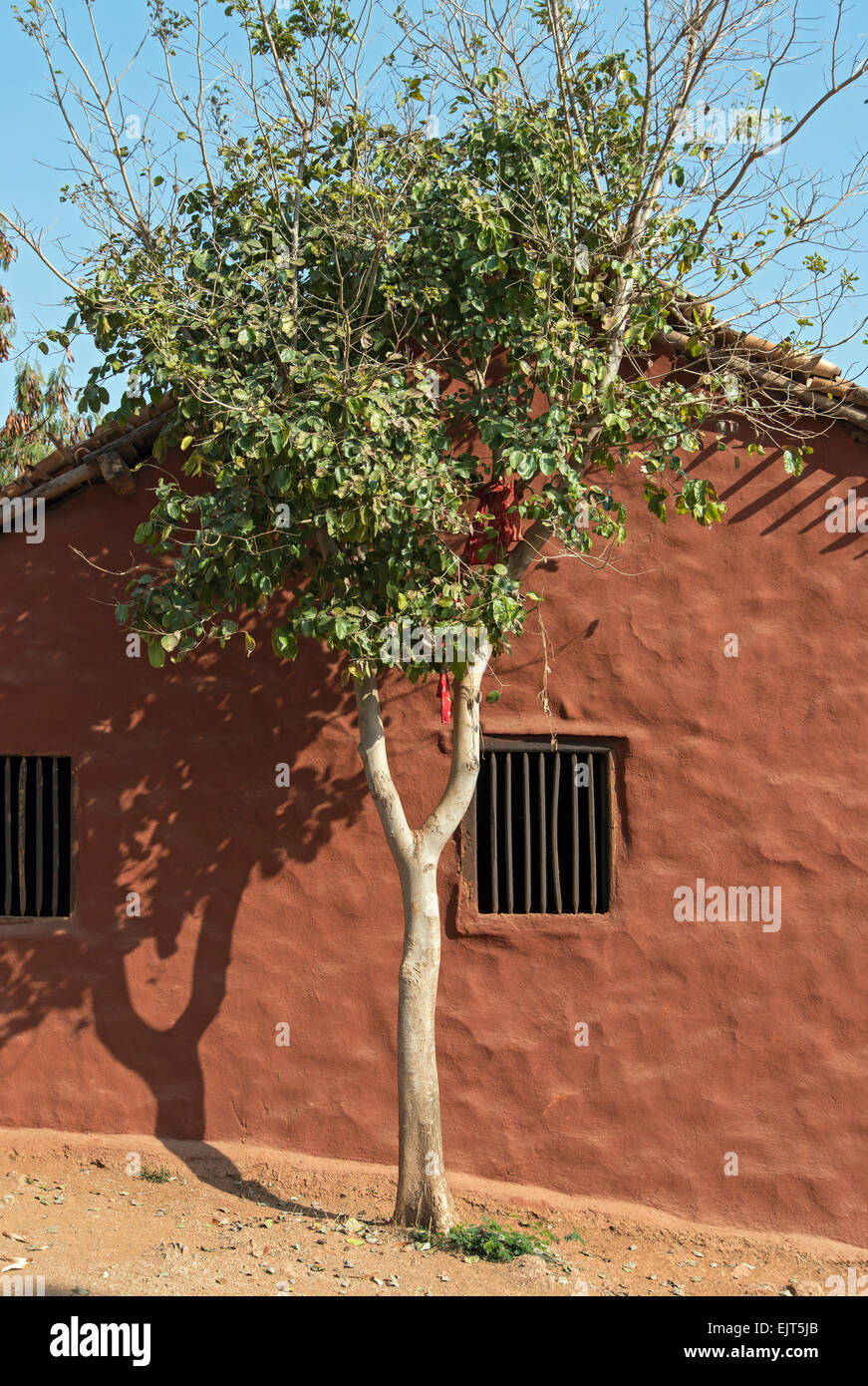 Village hut india hi-res stock photography and images - Alamy