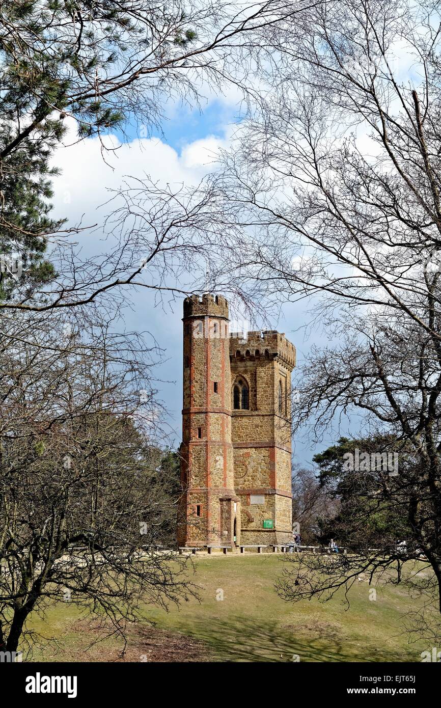 Leith Hill tower Surrey Hills Dorking U.K Stock Photo - Alamy