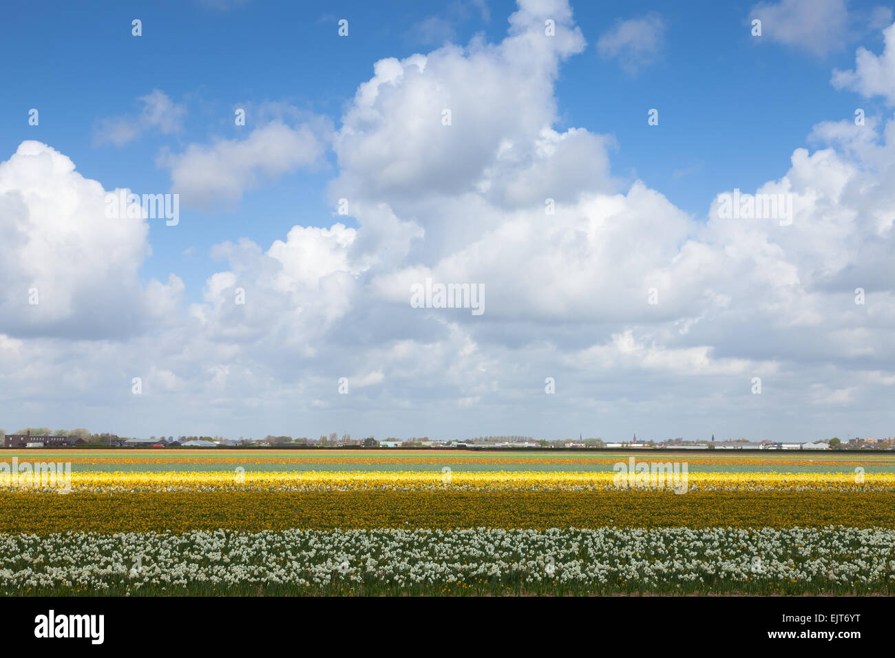 Dutch landscape hi-res stock photography and images - Alamy