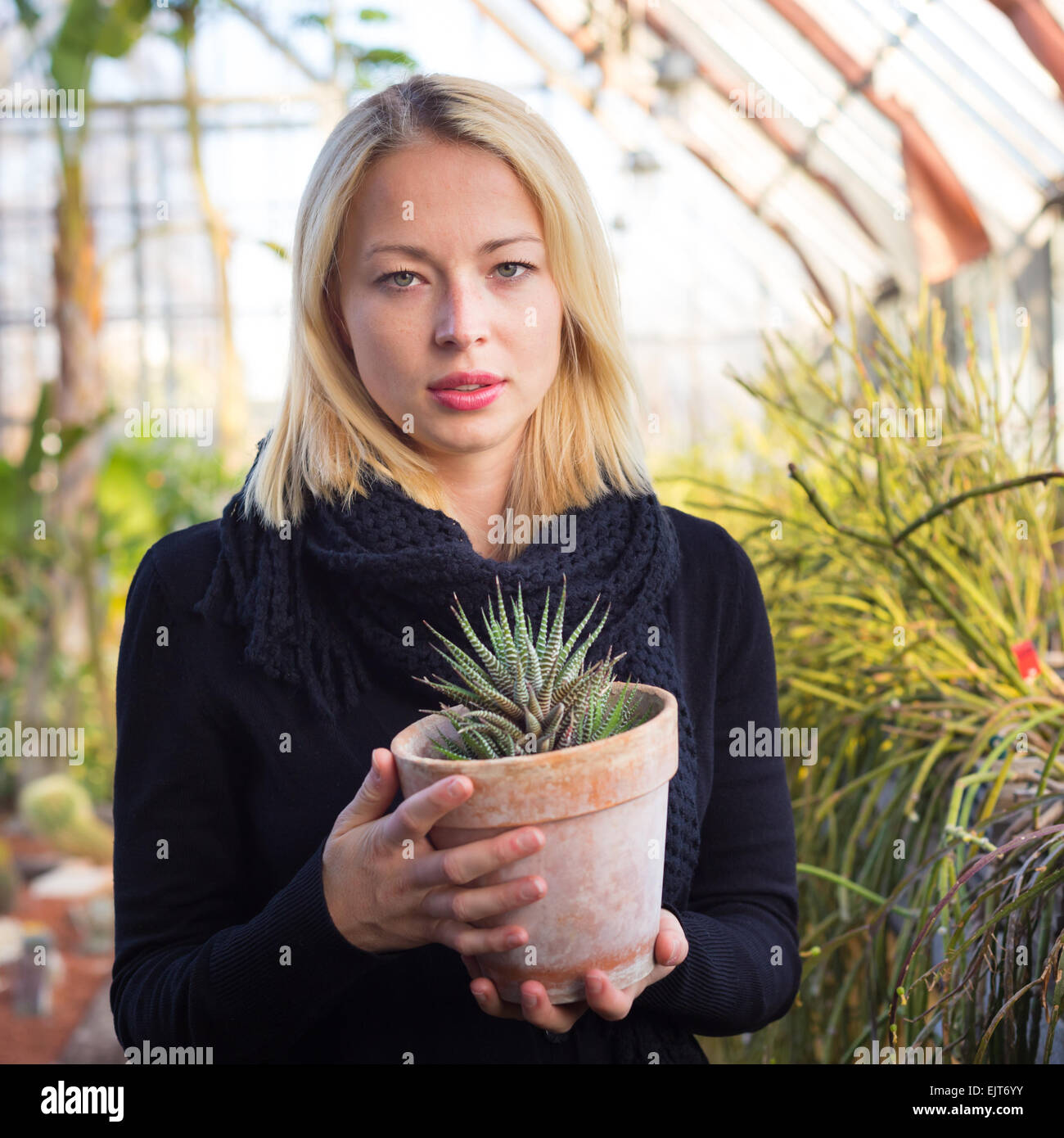 Florists woman working in greenhouse Stock Photo - Alamy