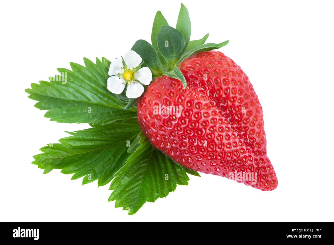 Strawberry. Green Leaf Stock Photo - Alamy