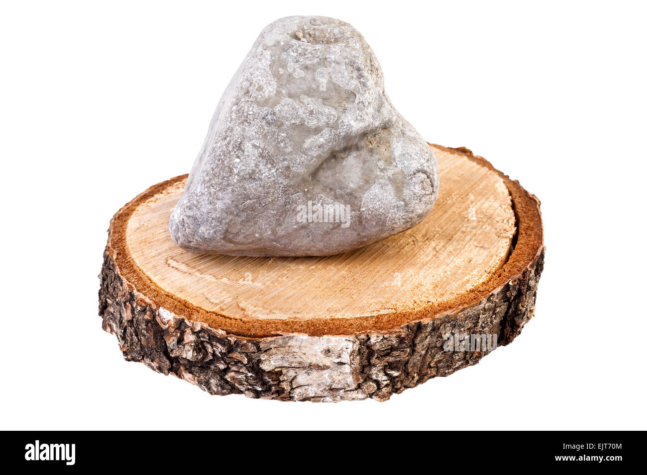 Stone and forest Cut Out Stock Images & Pictures - Alamy