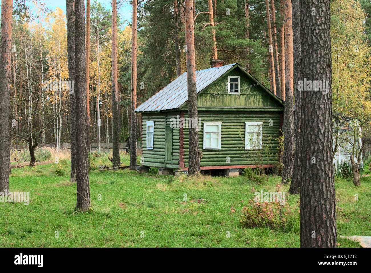 wooden cottage in forest Stock Photo - Alamy