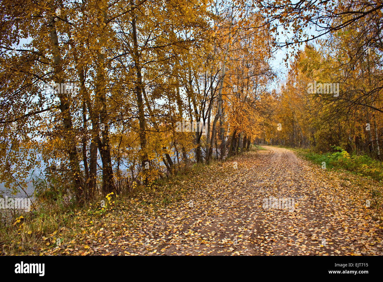 mellow autumn on river bank Stock Photo - Alamy