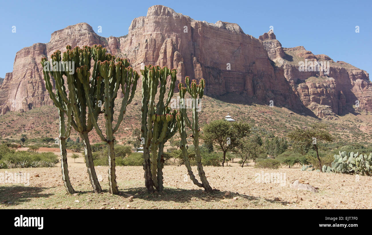 Tigray hi-res stock photography and images - Alamy