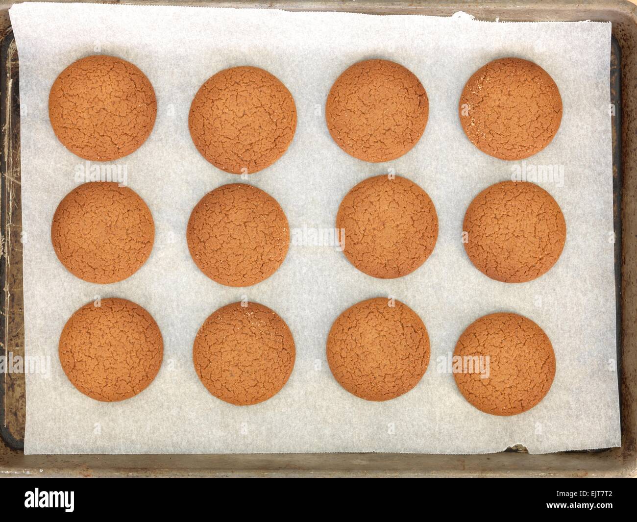 A close up shot of baked biscuits Stock Photo - Alamy