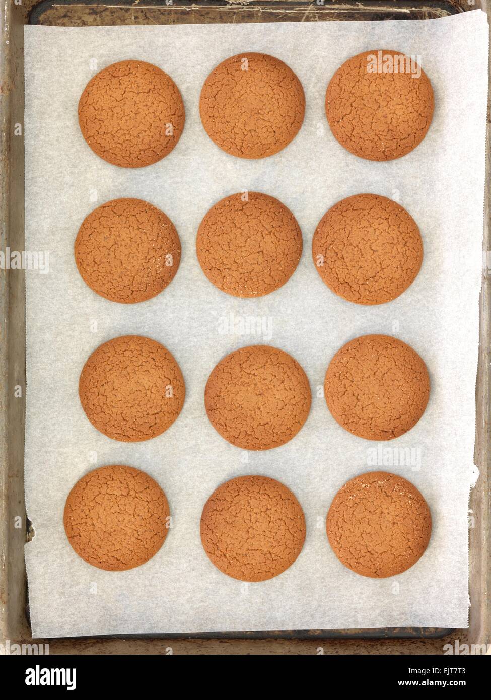 A close up shot of baked biscuits Stock Photo - Alamy