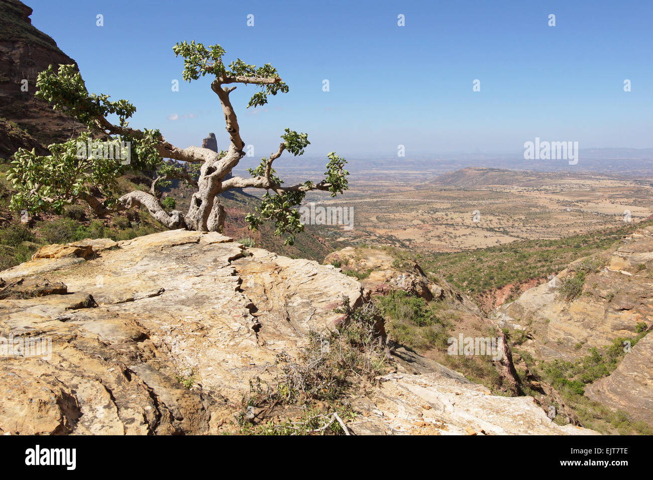 Tigray province hi-res stock photography and images - Alamy