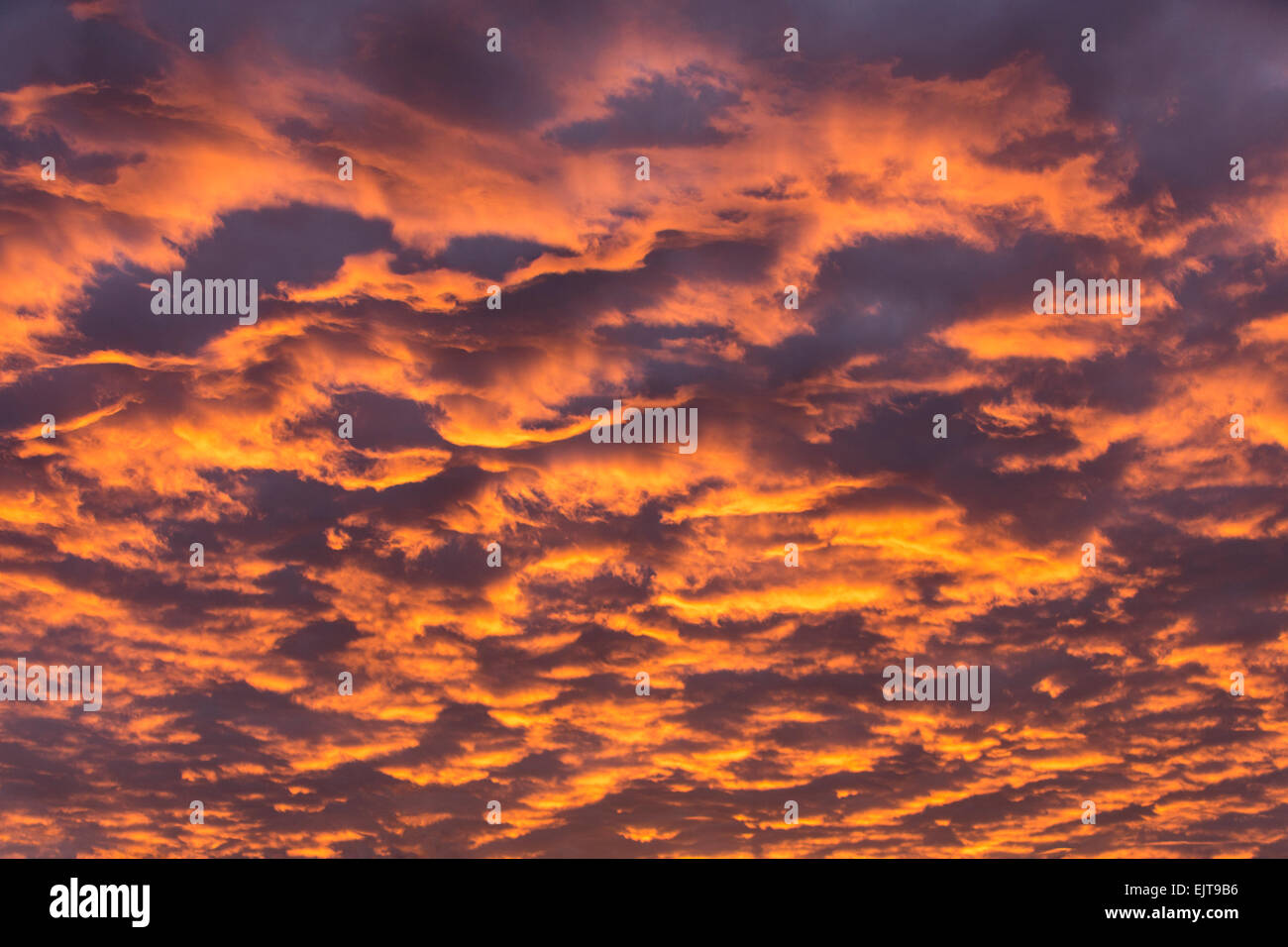 Glowing golden glow hi-res stock photography and images - Alamy