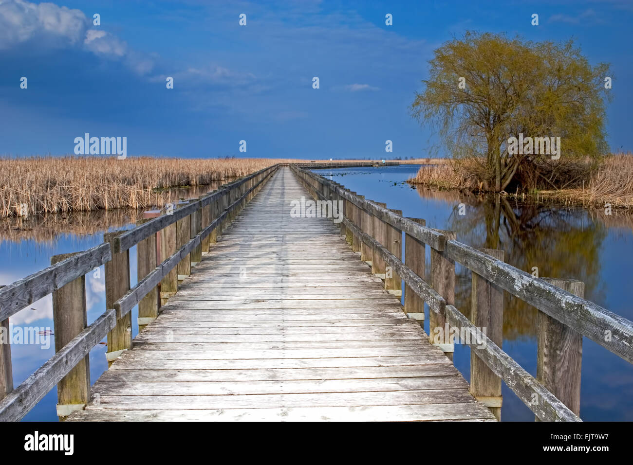 The marsh boardwalk at Point Pelee, Canada Stock Photo - Alamy