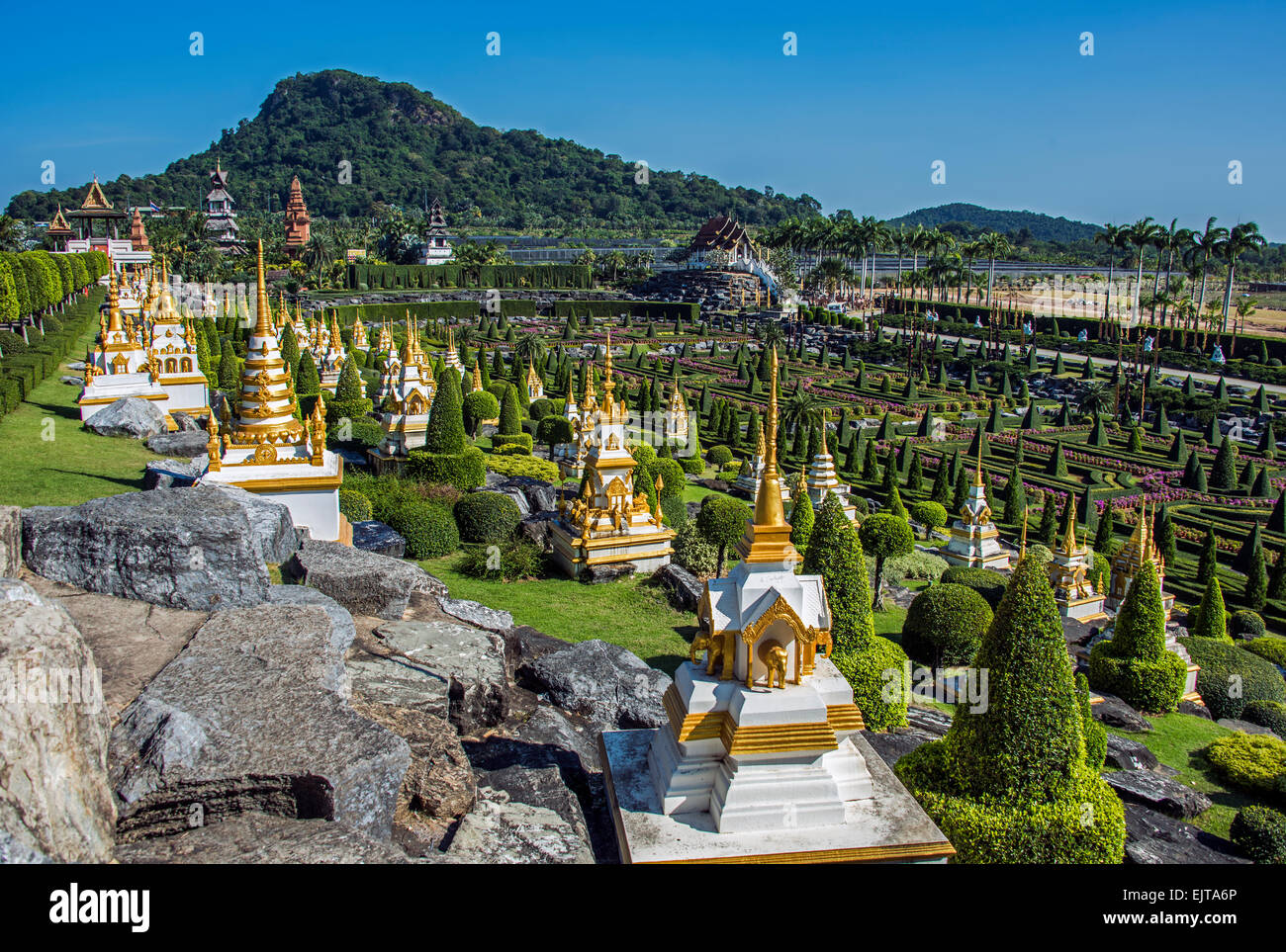 Nong Nooch Stock Photos & Nong Nooch Stock Images - Alamy